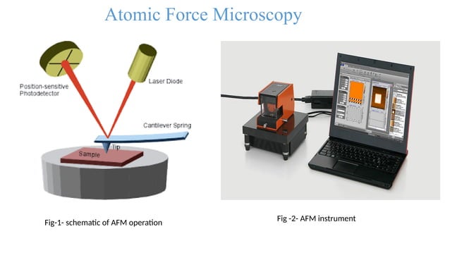 Atomic force microscope (AFM) full .pptx