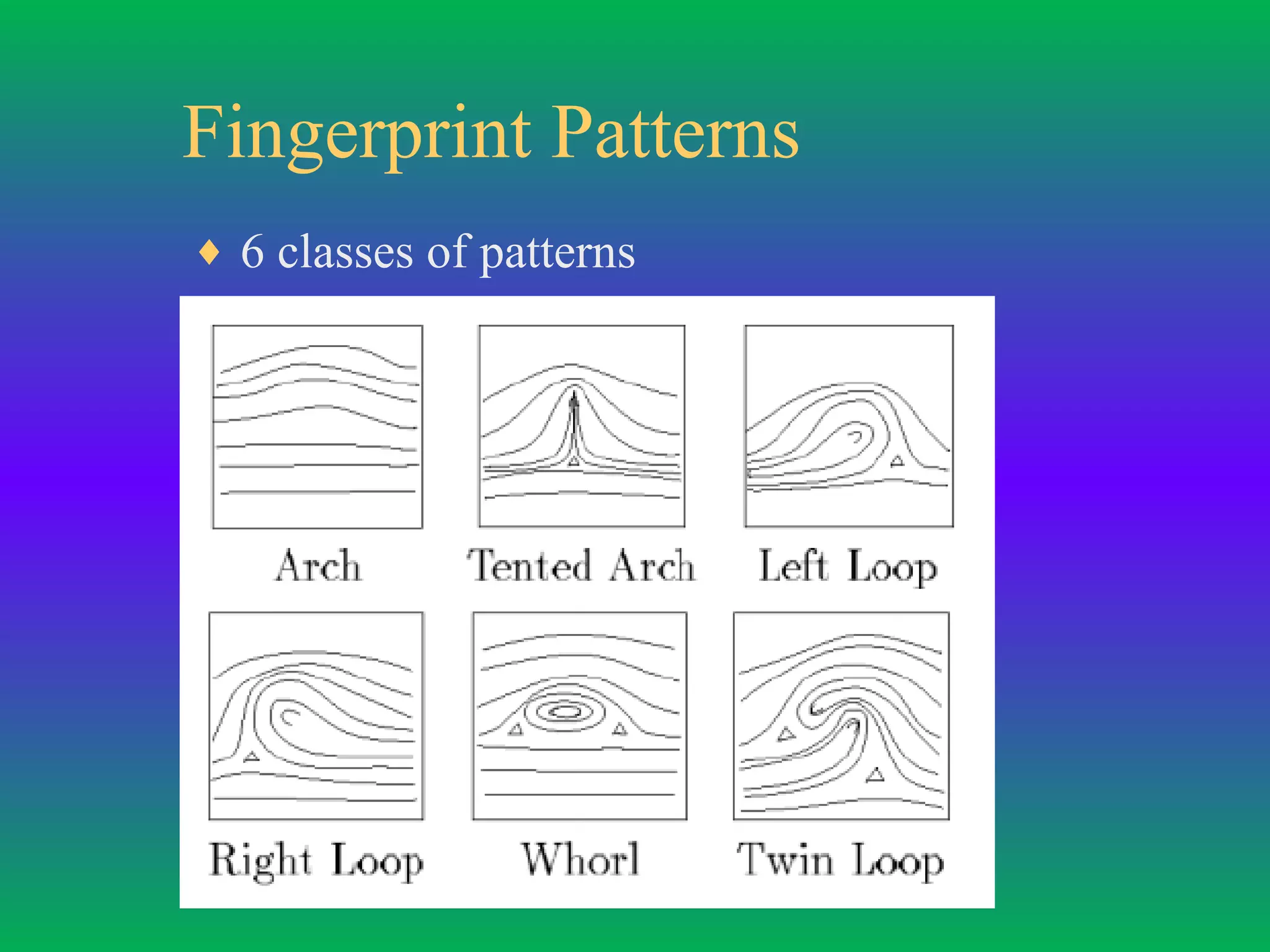 BIOMETRICS FINGER PRINT TECHNOLOGY | PPT