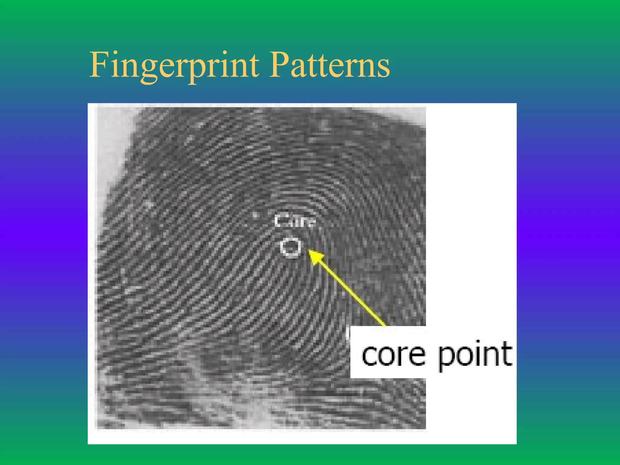 BIOMETRICS FINGER PRINT TECHNOLOGY | PPT