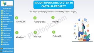 Master-Thesis-Castalia-Projects | PPT | Free Download