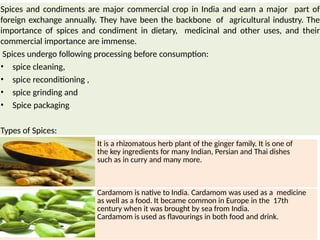 PPT 6 6 Spices and condiments.pptx MSc b | PPTX