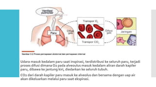 Airway Management | PPT