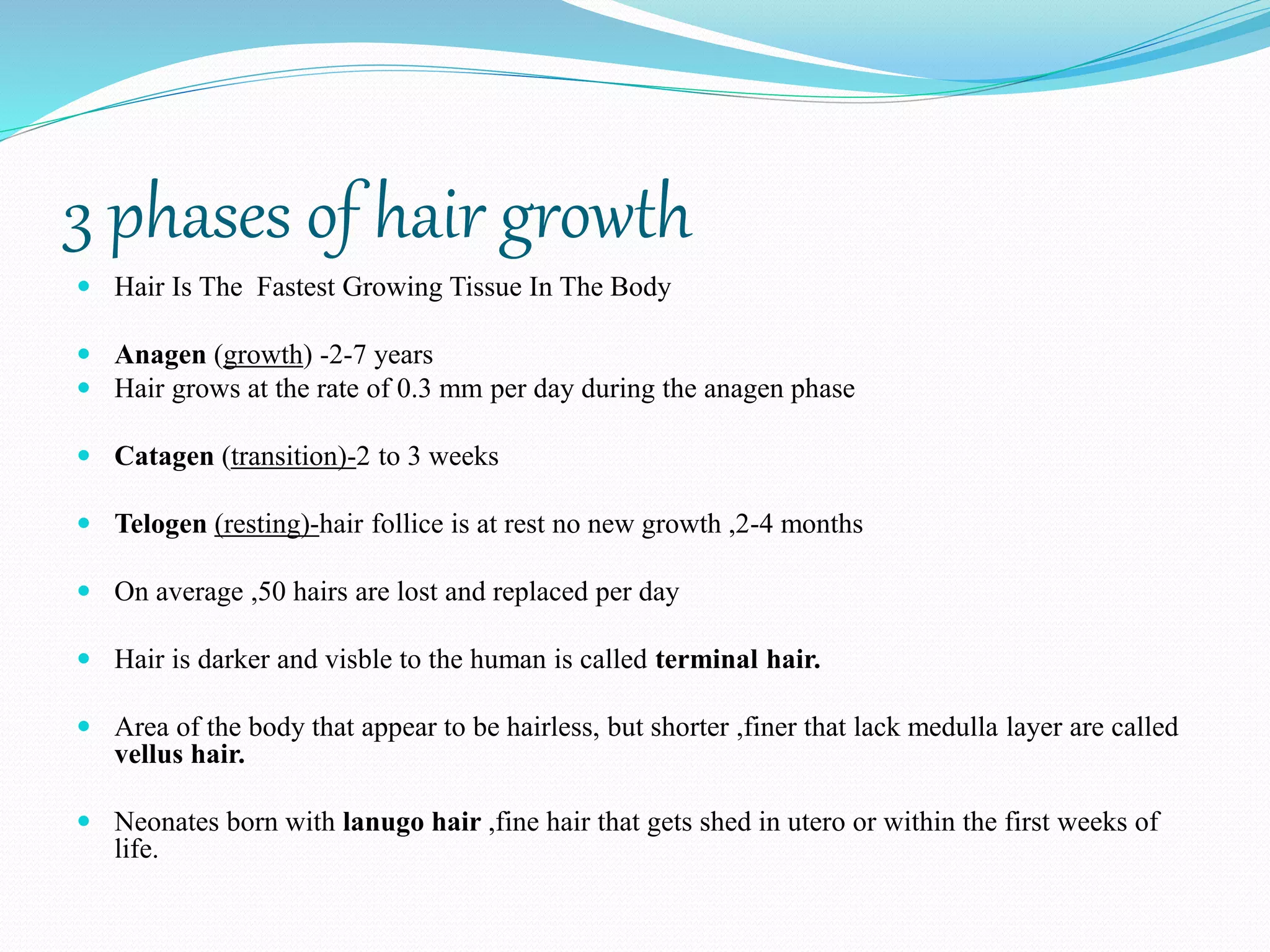 anatomy of hair and its medicolegal importance | PPTX