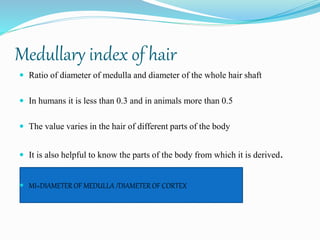 anatomy of hair and its medicolegal importance | PPTX