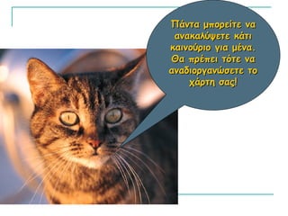 Ppt7 concept maps_fin | PPT