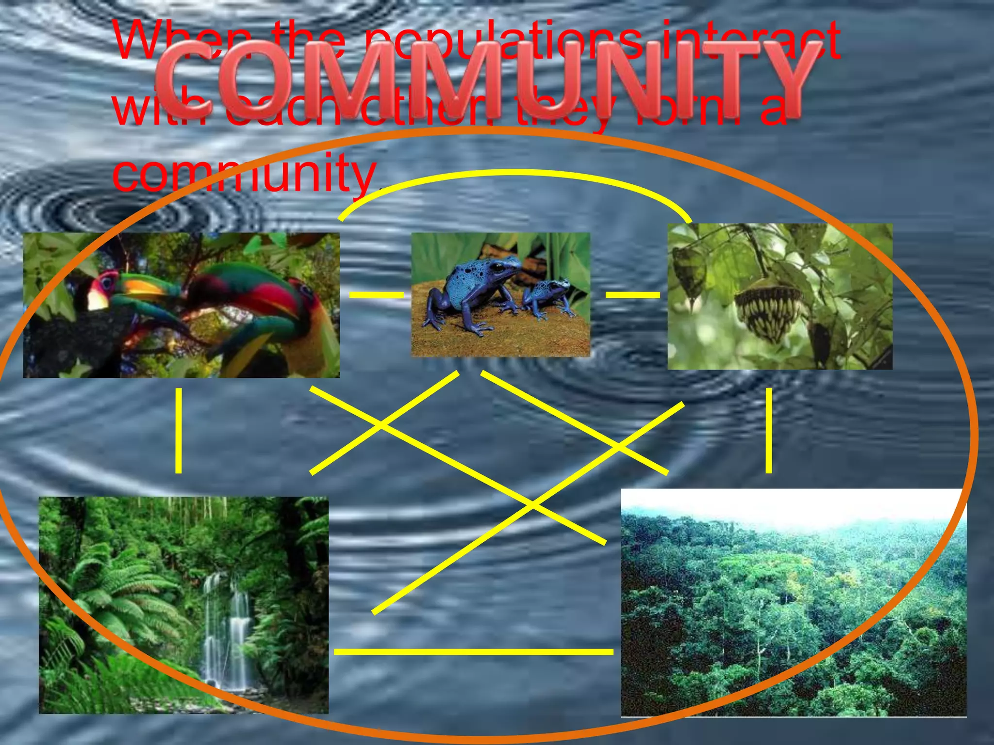 Interaction in ecosystems | PPTX