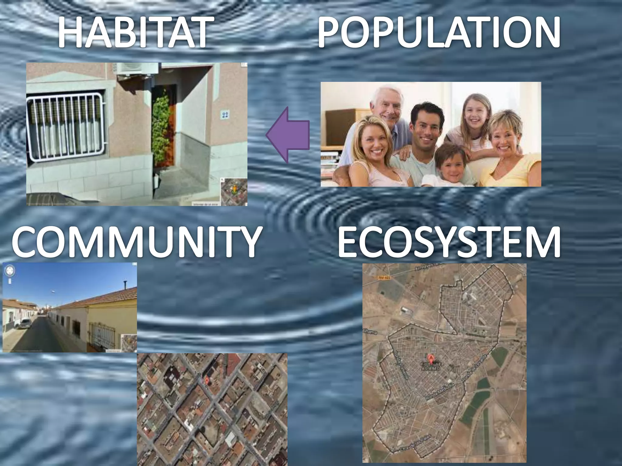 Interaction in ecosystems | PPTX