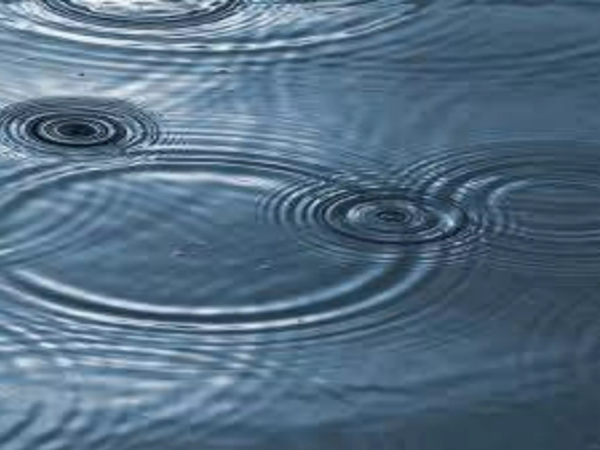 Interaction in ecosystems | PPTX