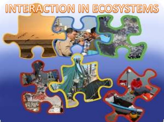 Interaction in ecosystems | PPTX | Geography | Science