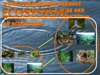 Interaction in ecosystems | PPTX