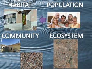 Interaction in ecosystems | PPTX