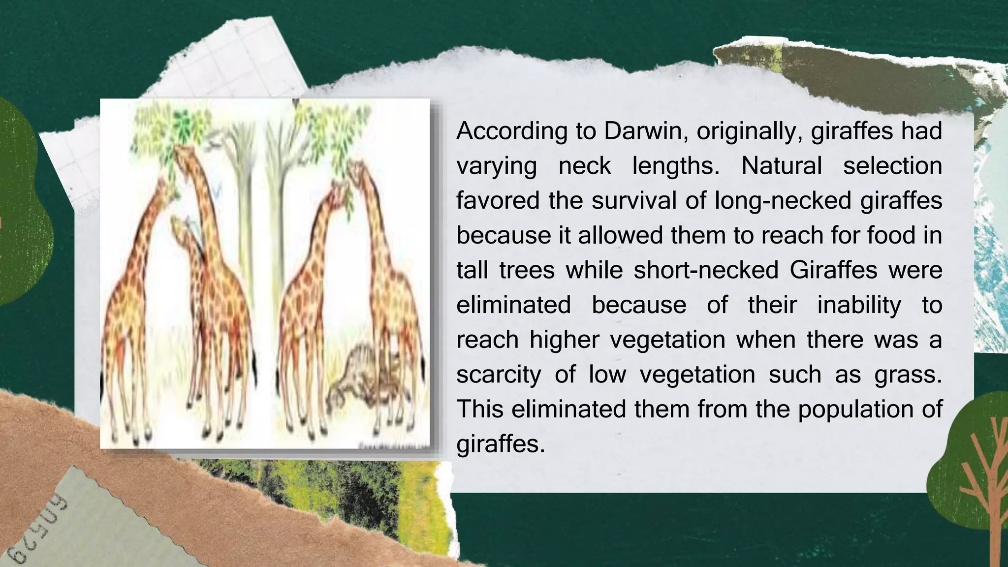PPT8-THEORY & OCCURRENCE OF EVOLUTION.pptx