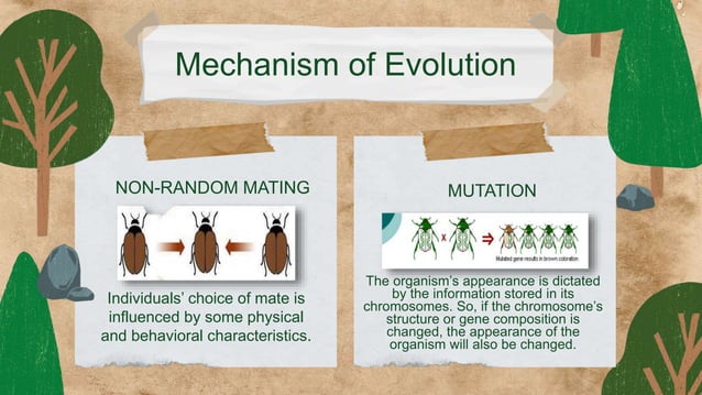 PPT8-THEORY & OCCURRENCE OF EVOLUTION.pptx | Genetics | Science
