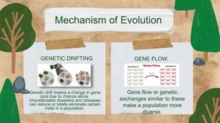 PPT8-THEORY & OCCURRENCE OF EVOLUTION.pptx