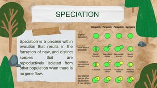 PPT8-THEORY & OCCURRENCE OF EVOLUTION.pptx