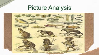PPT8-THEORY & OCCURRENCE OF EVOLUTION.pptx
