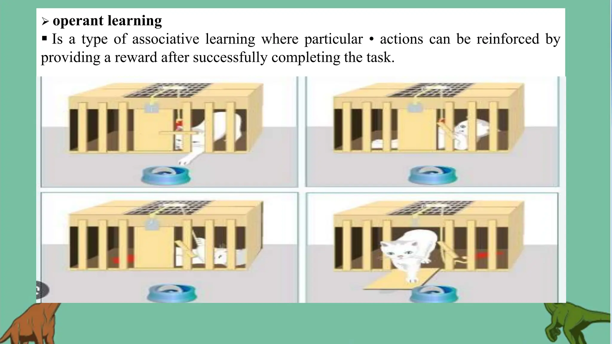 animal behaviours and its types with examples | PPTX