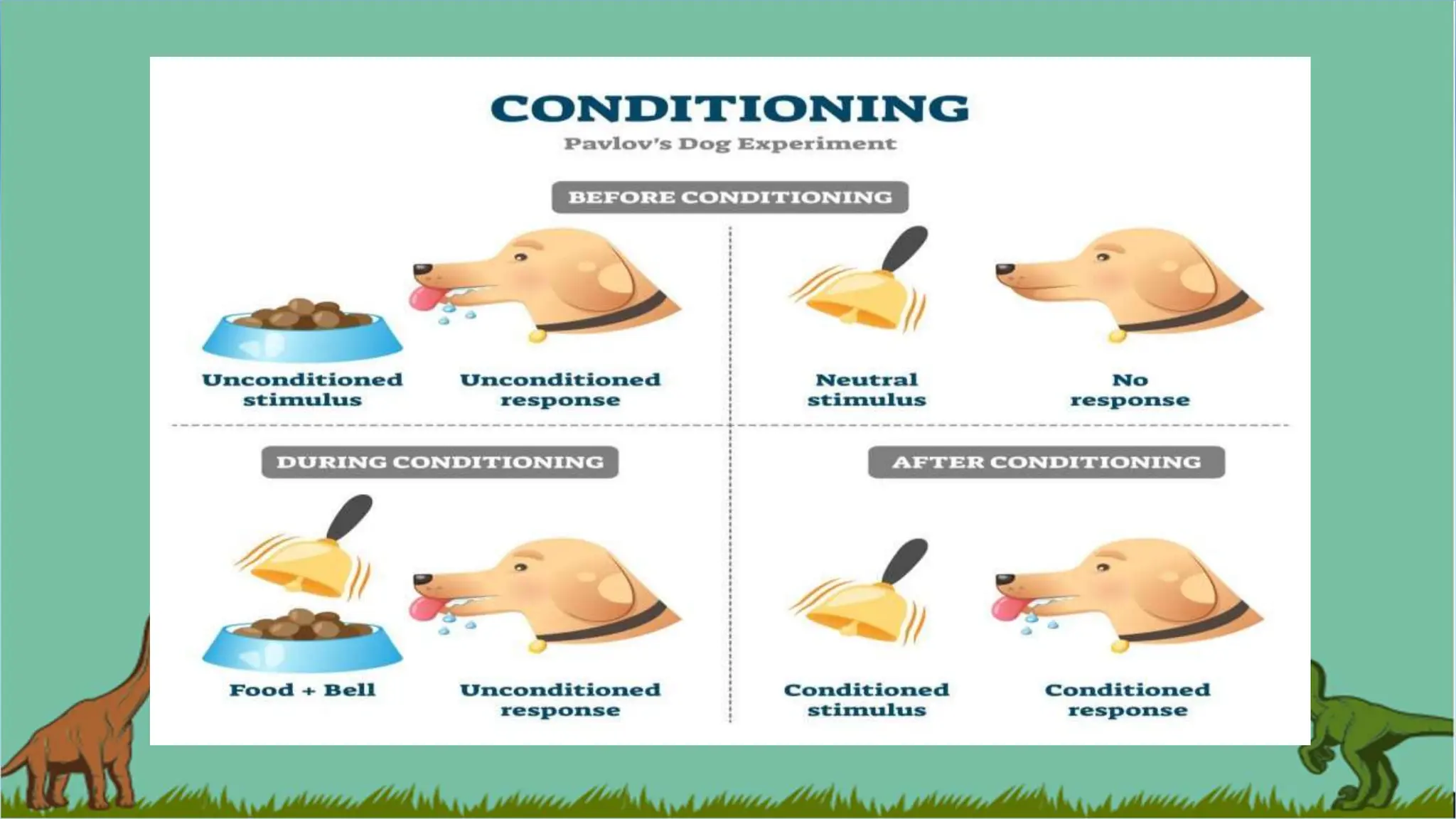 animal behaviours and its types with examples | PPTX