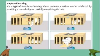 animal behaviours and its types with examples | PPTX