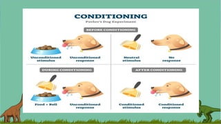 animal behaviours and its types with examples | PPTX