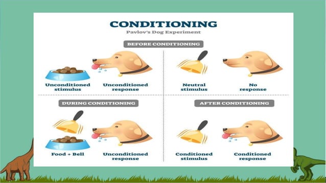 animal behaviours and its types with examples | PPTX