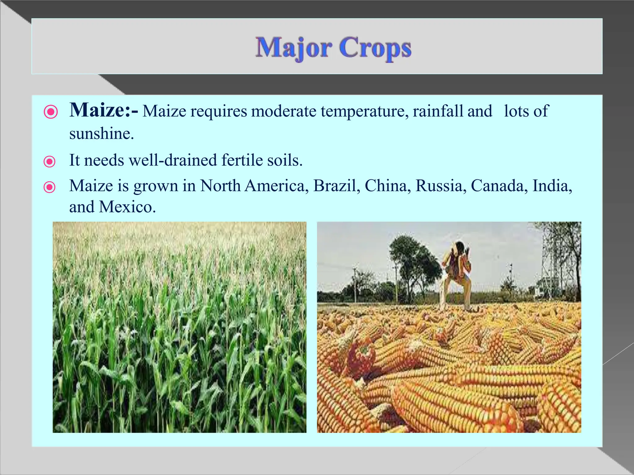 ppt8thagriculture-200508045830......pptx