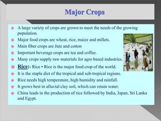 ppt8thagriculture-200508045830......pptx