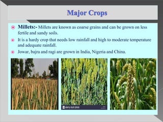 ppt8thagriculture-200508045830......pptx