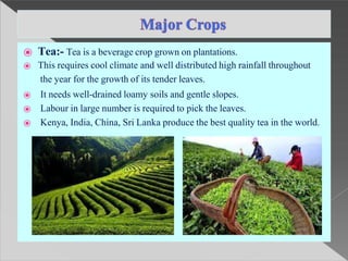 ppt8thagriculture-200508045830......pptx