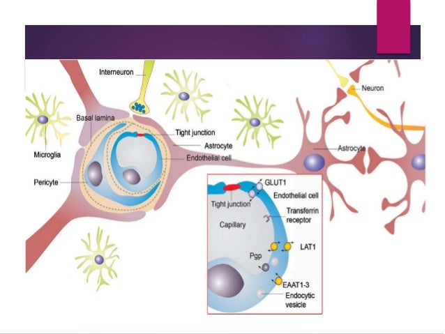 NANO TECHNOLOGY IN DRUG DELIVERY SYSTEM