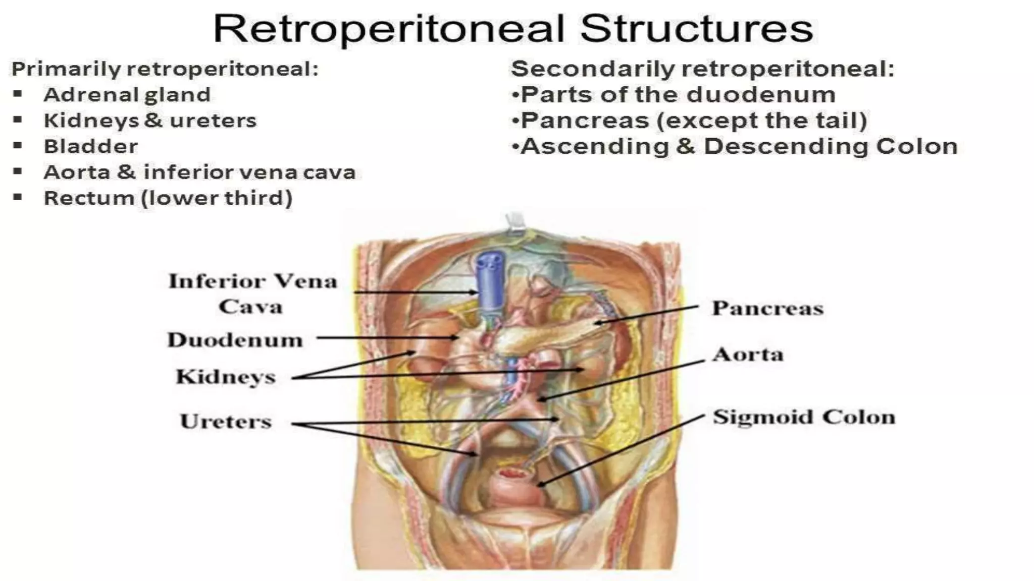 ppt Abd trauma Present.pptx