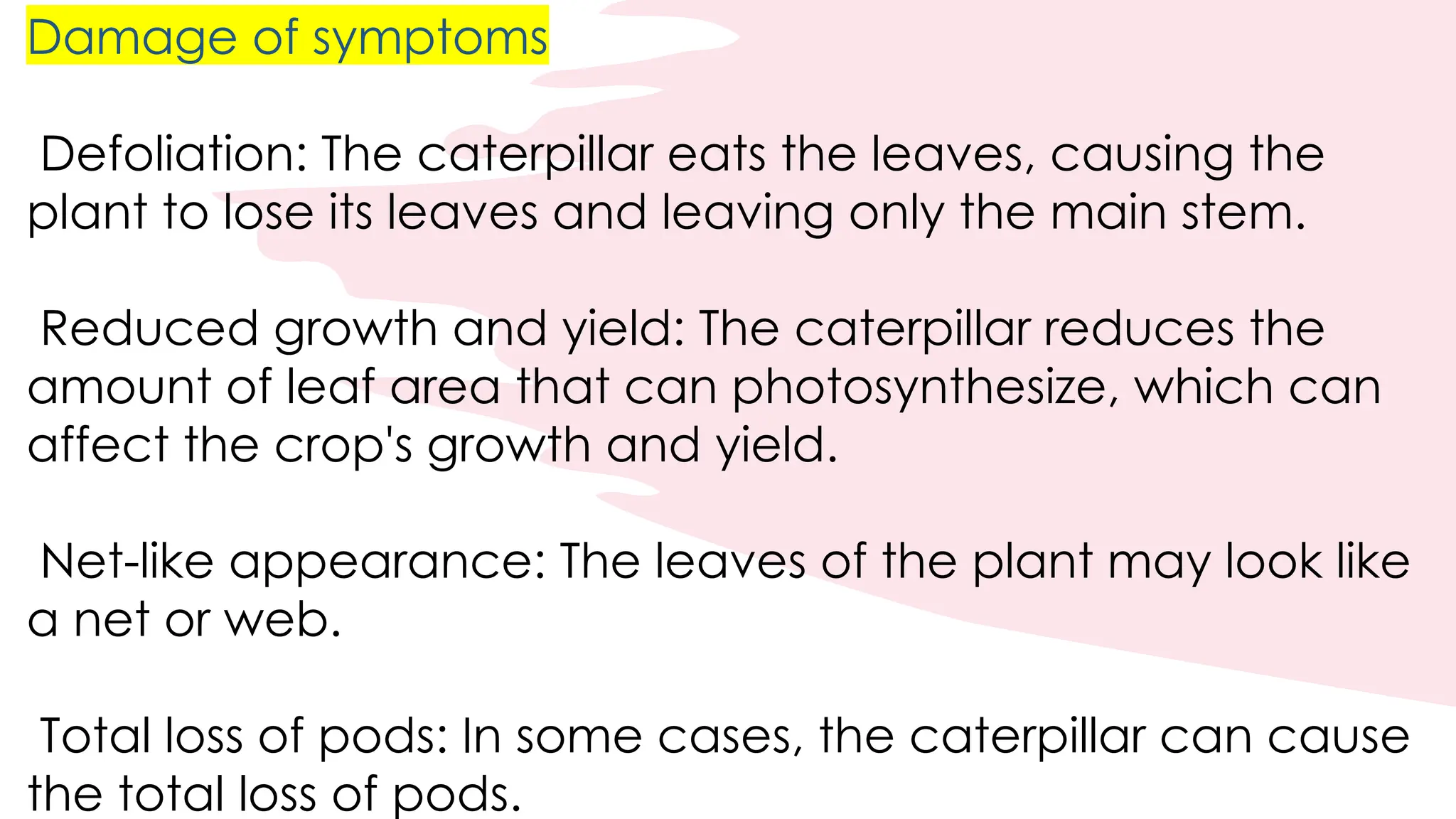 red hairy caterpillar and its management | PPTX