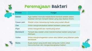 peremajaan | PPTX