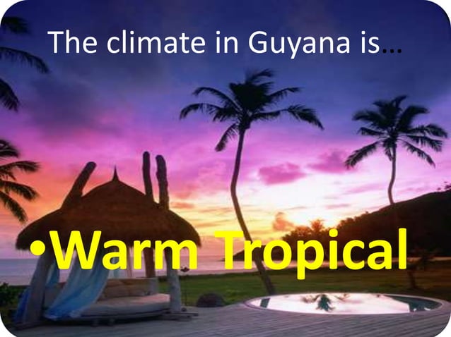 Ppt about guyana | PPTX