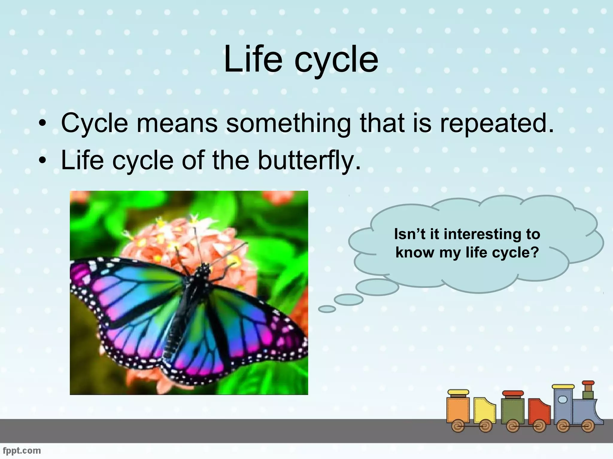 Ppt about life cycle | PPT