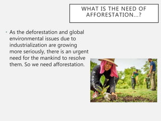 Afforestation and Clorofloro carbon CFCS | PPTX