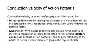 PPt action potential.pptx