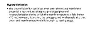 PPt action potential.pptx