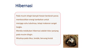 ppt adaptasi hewan.pptx