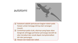 ppt adaptasi hewan.pptx