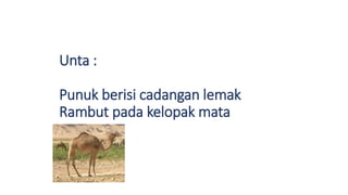 ppt adaptasi hewan.pptx