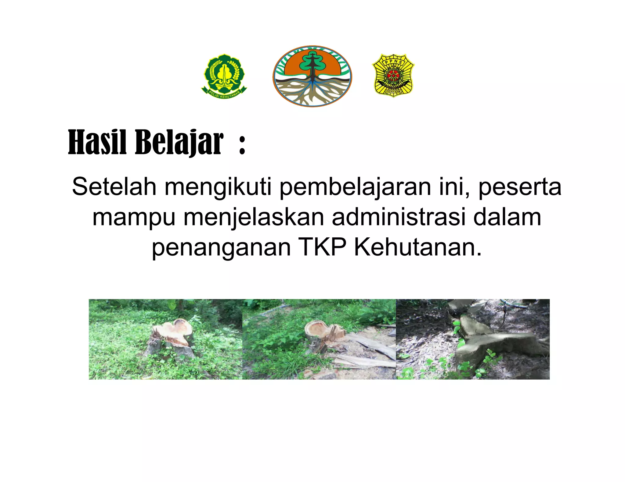 ADMINISTRASI TEMPAT KEJADIAN PERKARA (TKP) KEHUTANAN | PDF