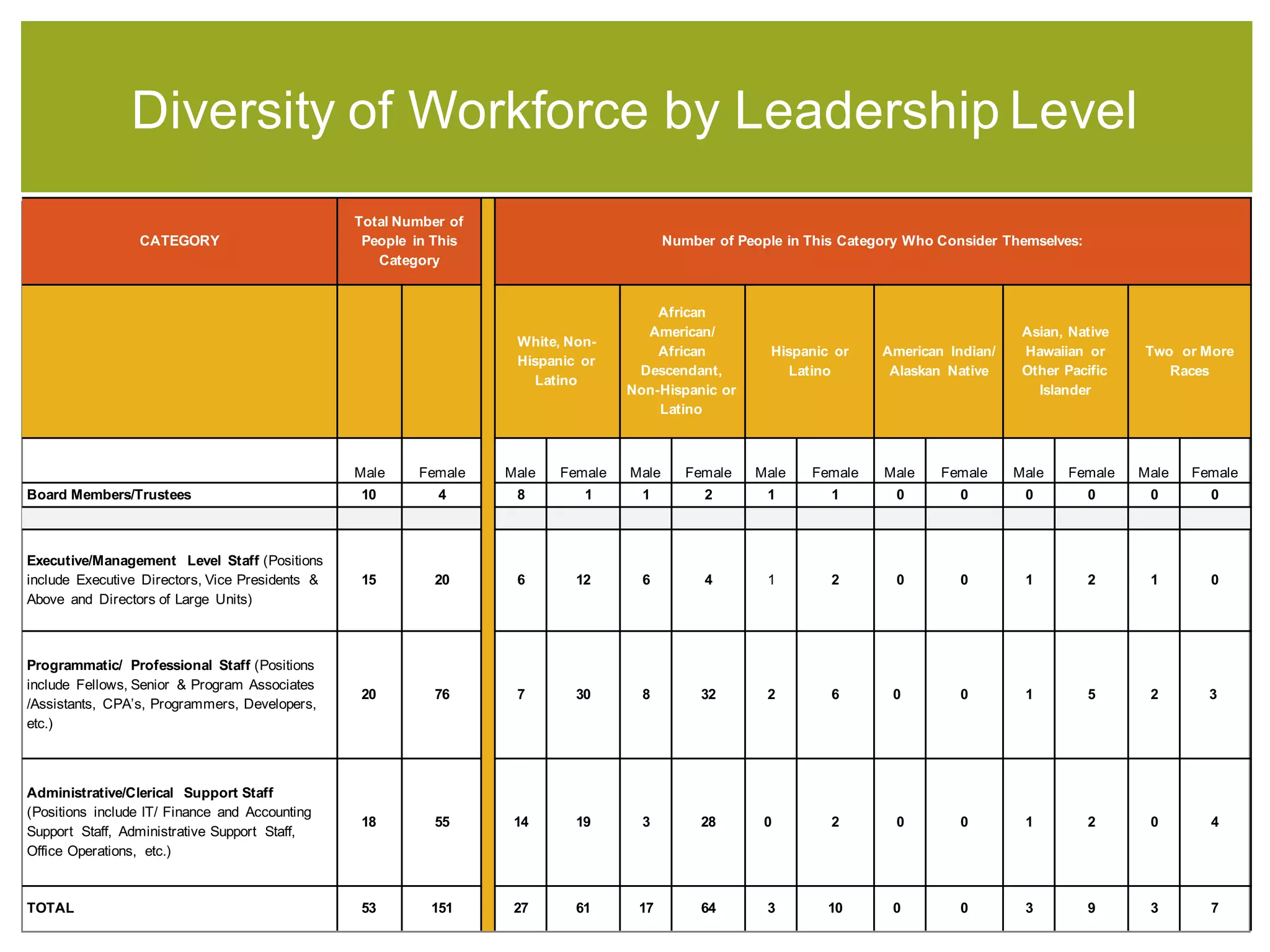 The Workforce Composition of the Casey Foundation in 2015 | PPT