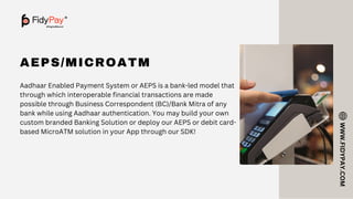 FidyPay is the Best AEPS/Micro ATM Service Provider-Banking as a Service | PDF | Credit Cards ...