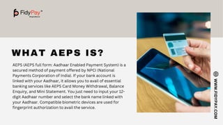 FidyPay is the Best AEPS/Micro ATM Service Provider-Banking as a Service | PDF | Credit Cards ...
