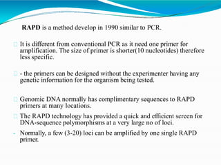 ppt AFLP n RFLP by yeni - Copy.pptx