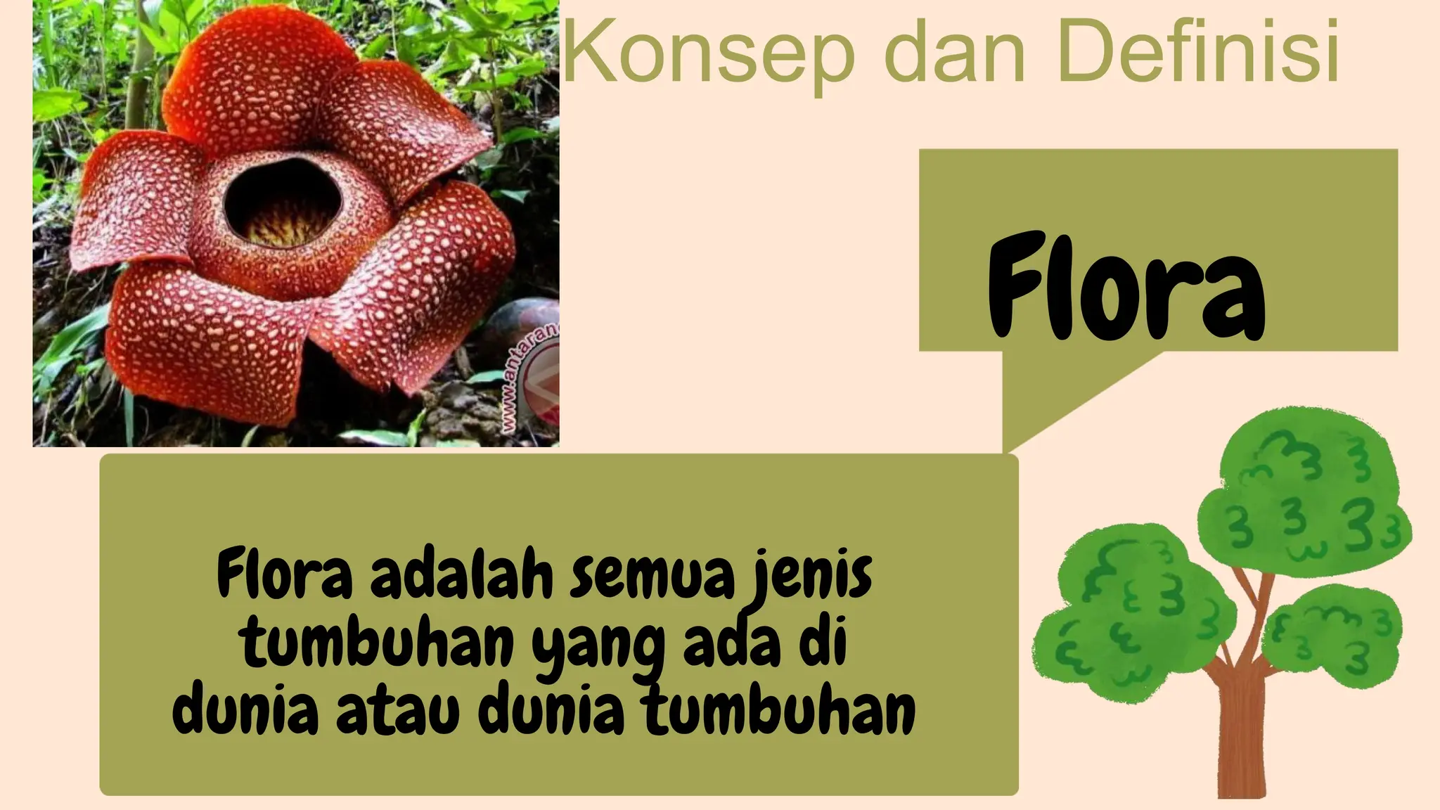 PPT FLORA DAN FAUNA pelajaran geografi sma | PPT