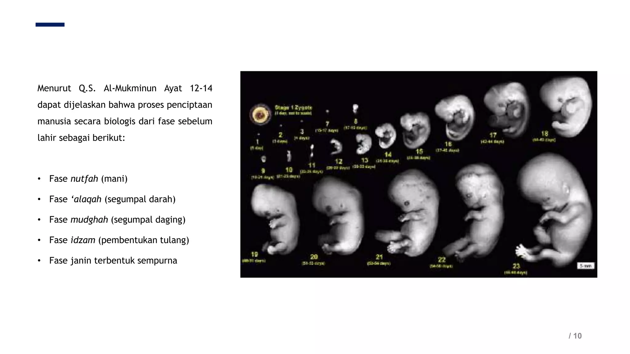 PPT Agama - Hakekat Manusia Menurut Islam.pptx