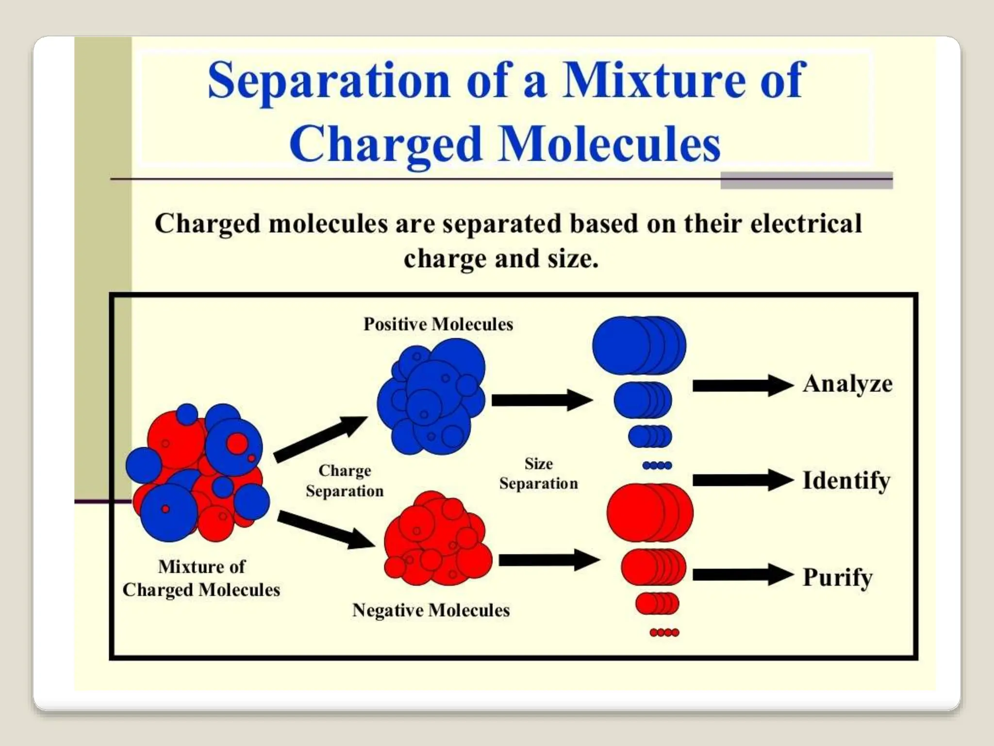 ppt Agarose gel electrophoresis......... | PPT