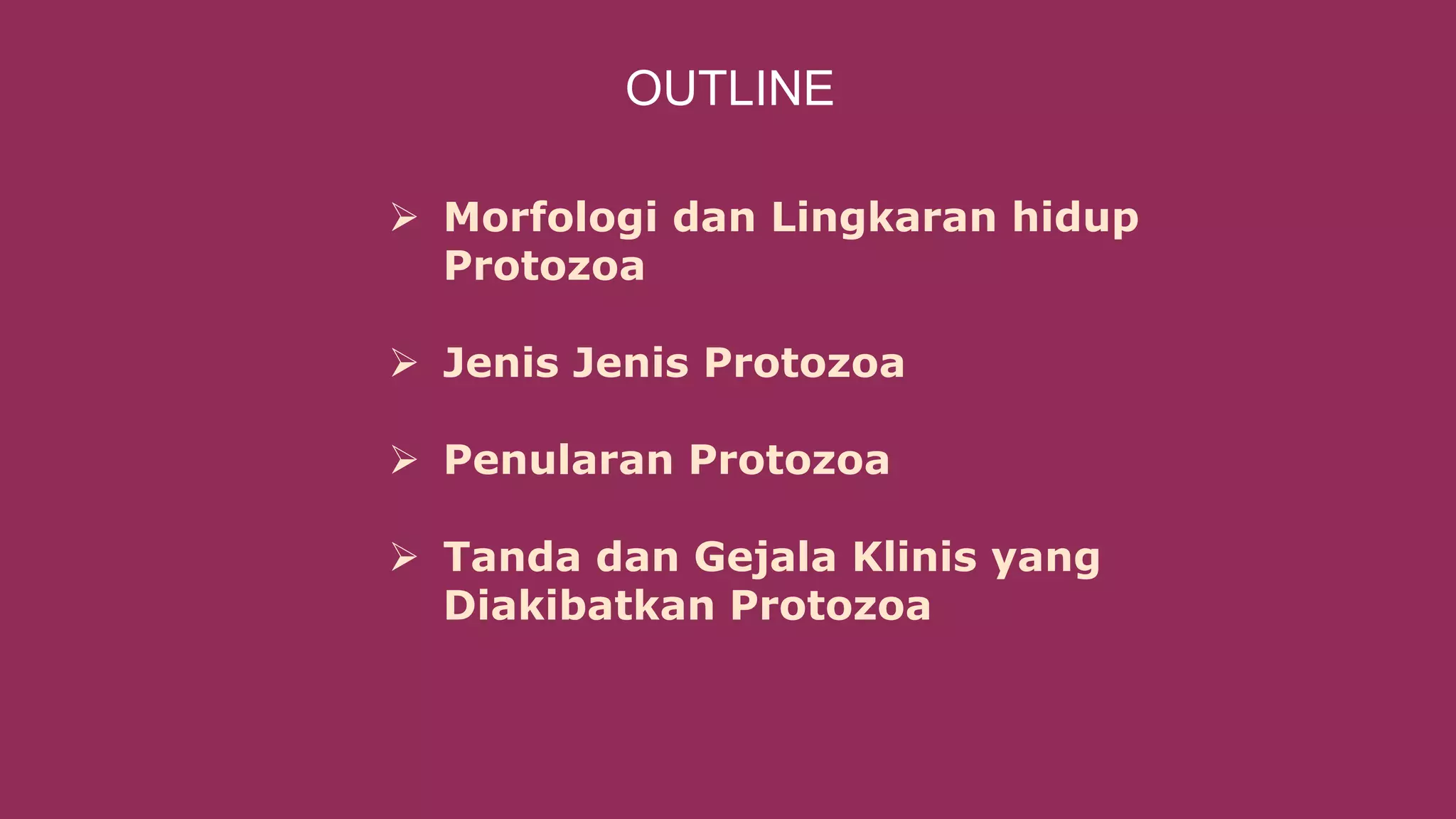 Ppt Agent Protozoa.pptx